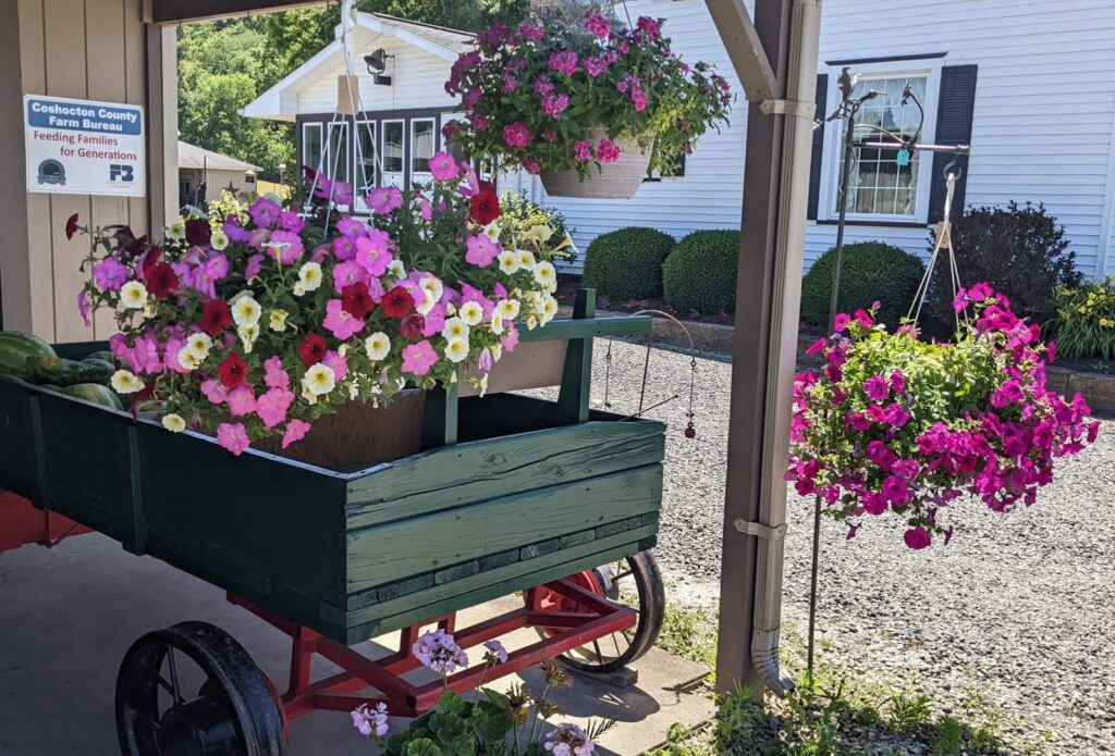 Hanging Baskets