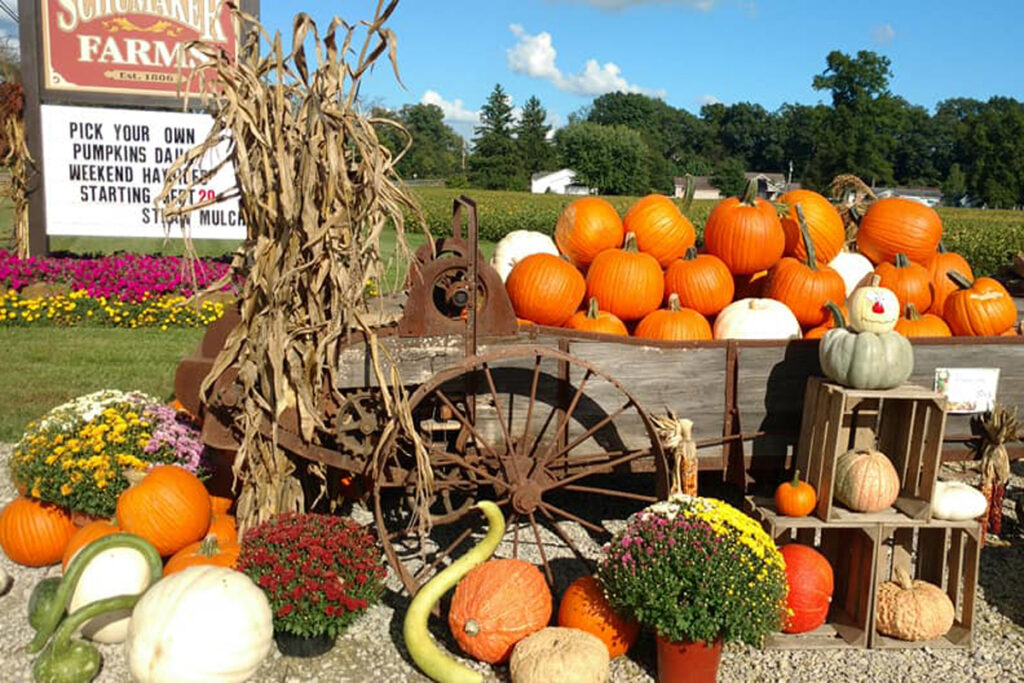 Products - Schumaker Farms