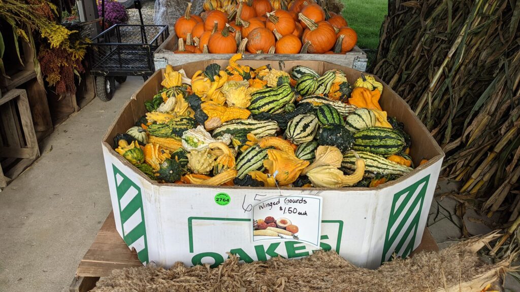 Schumaker Farms – Schumaker Farms