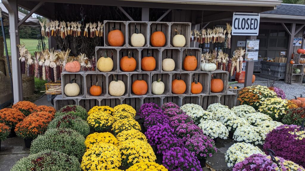 Schumaker Farms – Schumaker Farms