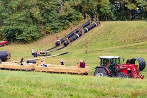 Home - Schumaker Farms